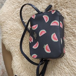 Coach | Bags | Nwt Coach Watermelon Camera Style Crossbody Bag | Poshmark